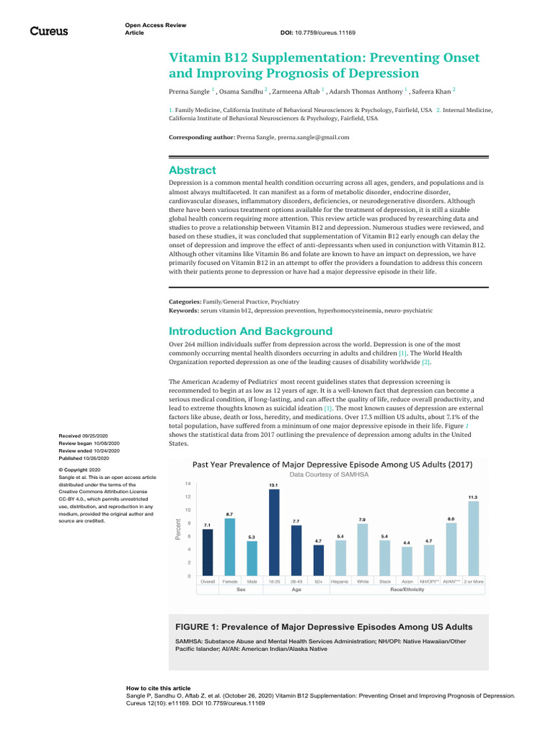 Research Paper - Depression and Vitamin B12 | PDF | Vitamin B12 | Major ...