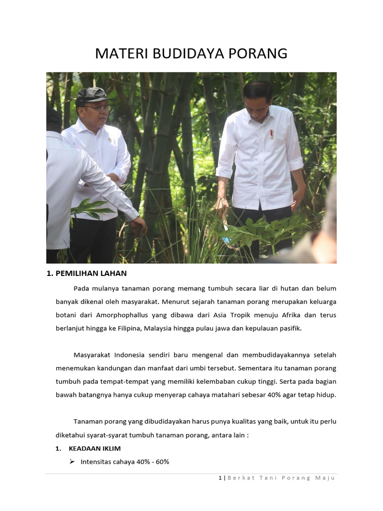 Budidaya Porang | PDF