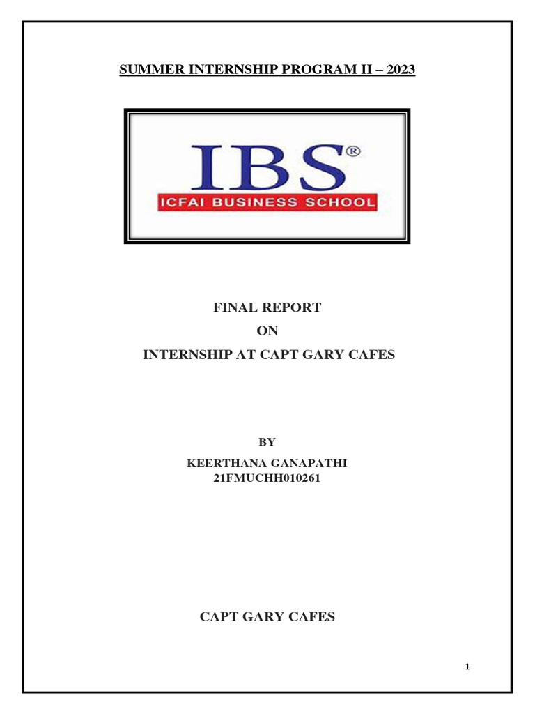 BBA Internship: Business Development | PDF | Sales | Marketing