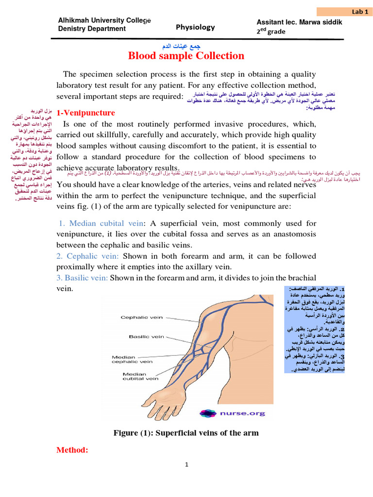 Lab. 2 Blood Collection Doc. (1) 2 | PDF | Arm | Vein