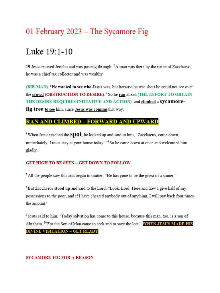 01 February 2023 - The Sycamore Fig | PDF