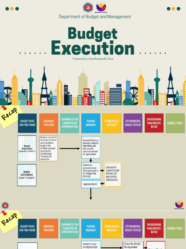 Budget Execution | PDF | Expense | Budget