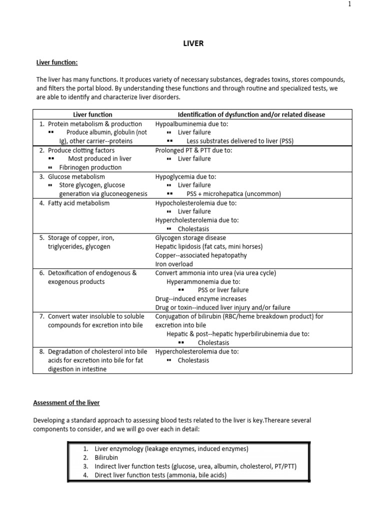 Liver | PDF | Liver | Medical Specialties