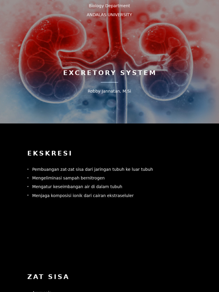 Sistem Ekskresi dan Fungsi Ginjal | PDF