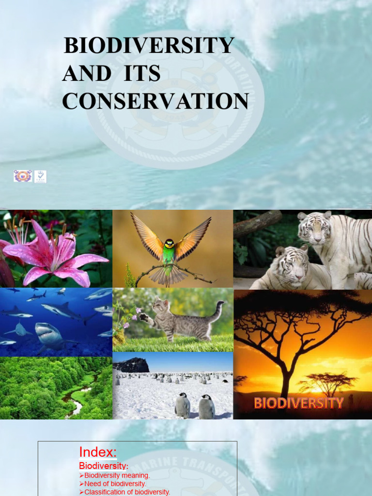 Biodiversity PPT NGEC 9 MT | PDF | Biodiversity | Conservation Biology