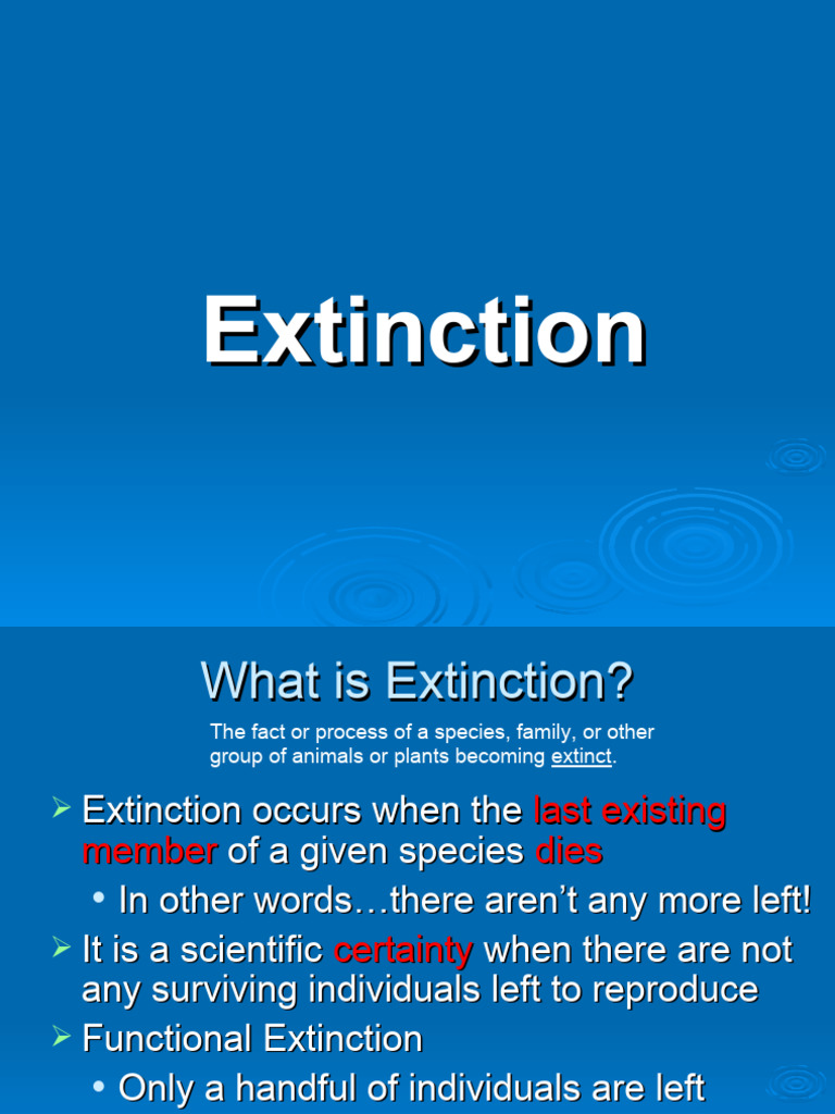 A3 - Extinction- 4 | PDF | Biodiversity | Extinction