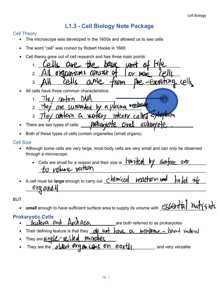 L1.3 - Cell Structures Note Package | PDF | Cell (Biology) | Eukaryotes