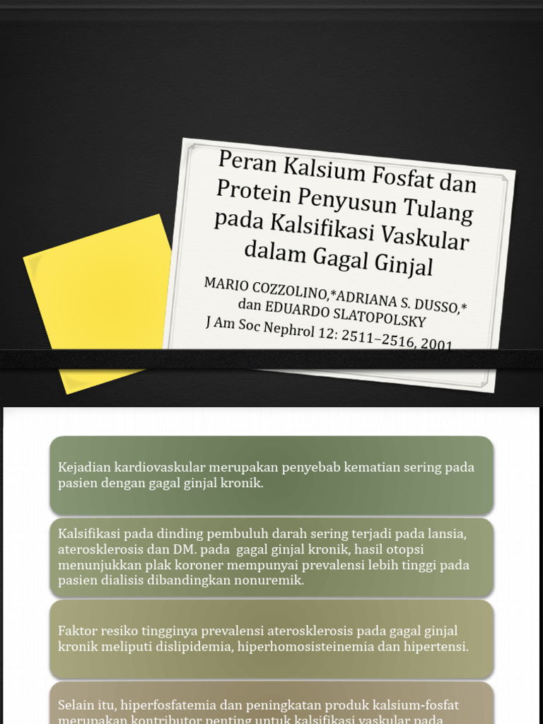 Peran Kalsium Fosfat | PDF