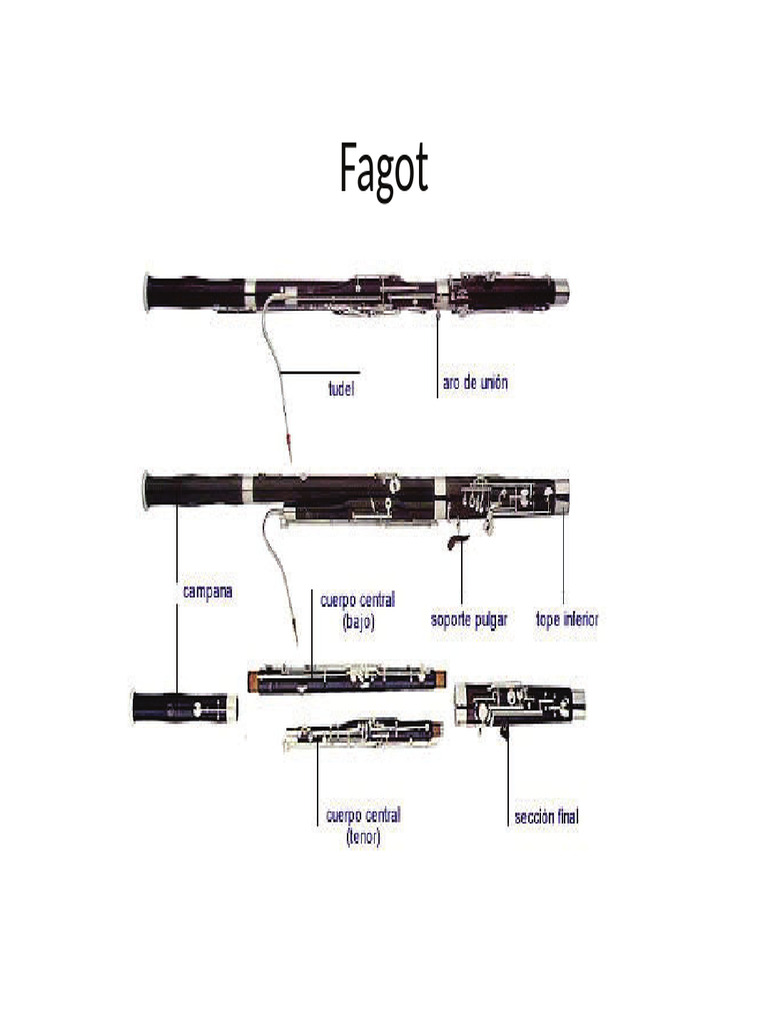 Partes Fagot | PDF | Estudios de idiomas extranjeros