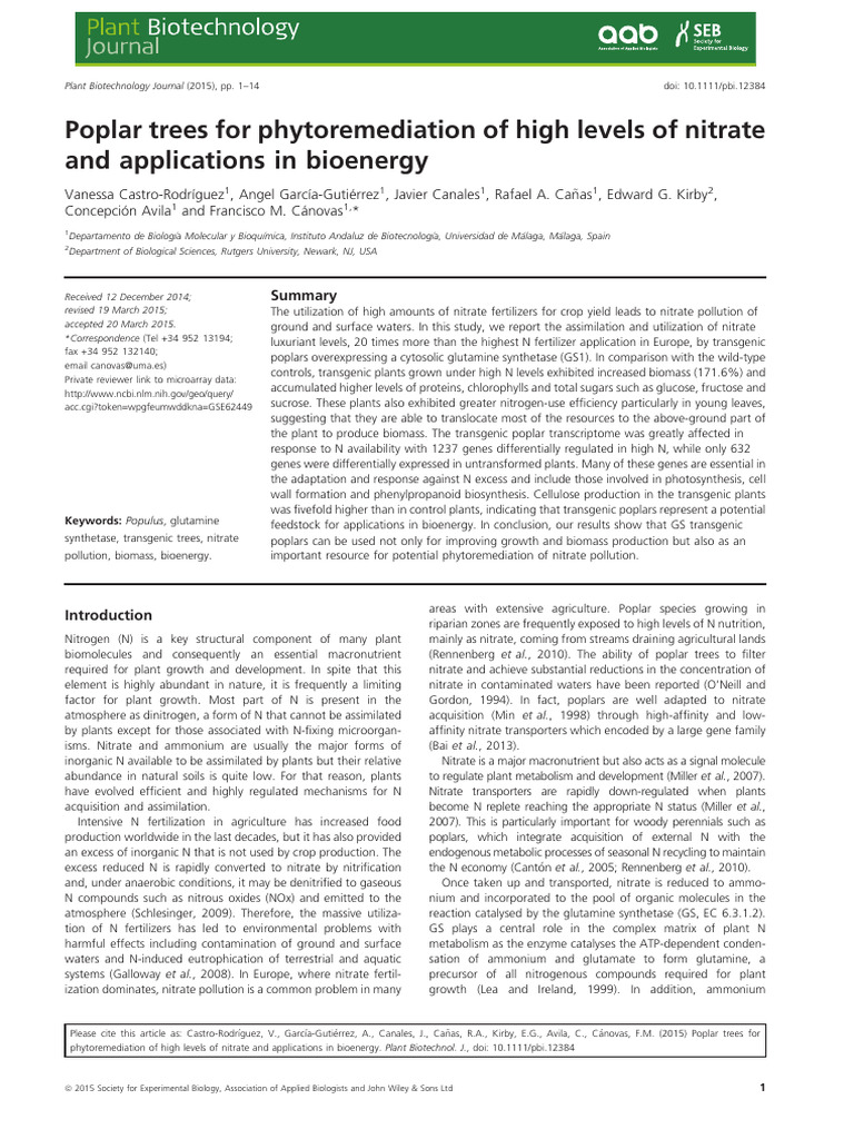Poplar Trees For Phytoremediation of High Levels of Nitrate and ...