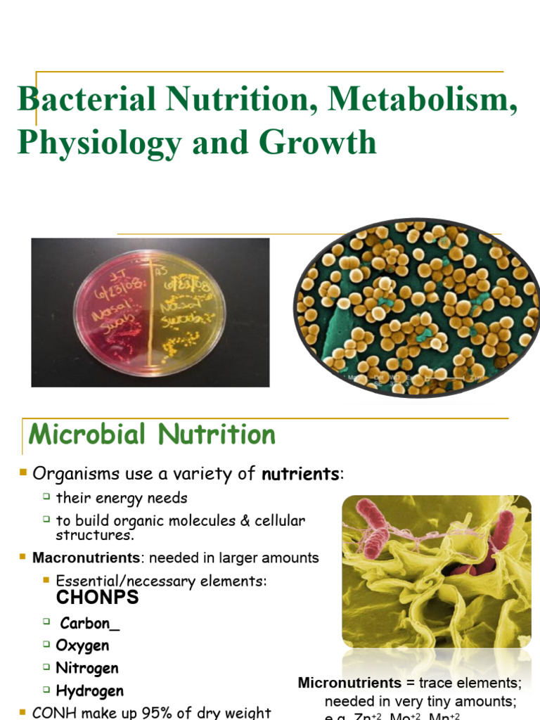 1 4 Bacterial Nutrition, Physiology, Metabolism & Growth | Download ...