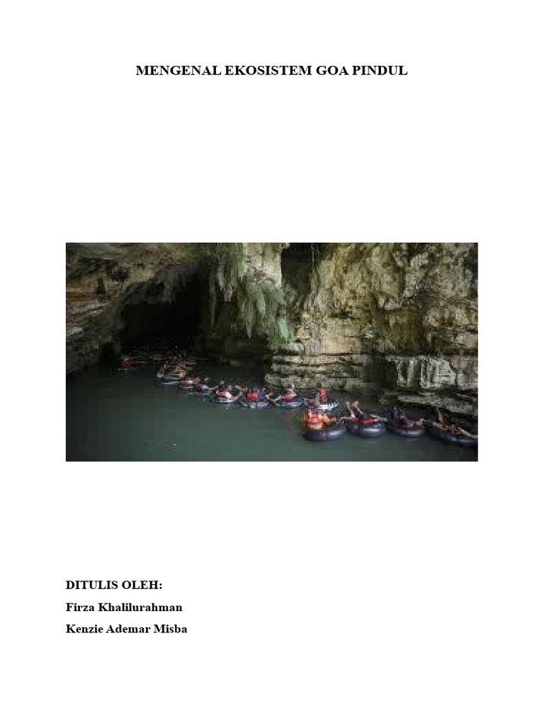 Mengenal Ekosistem Goa Pindul | PDF