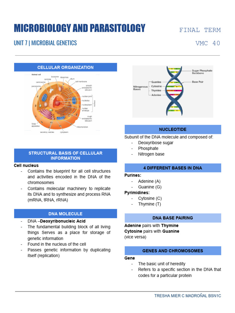 Microbial Genetics Overview and Concepts | PDF | Rna | Translation ...