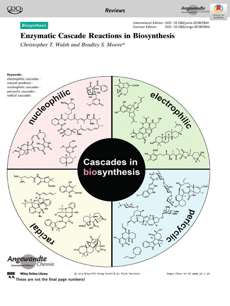 Enzymatic Cascade RX | PDF | Chemical Reactions | Active Site