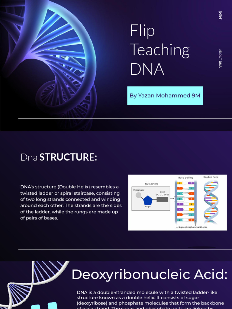 Copy of DNA WORLD, By Yazan MOHD 9M | PDF | Dna | Meiosis