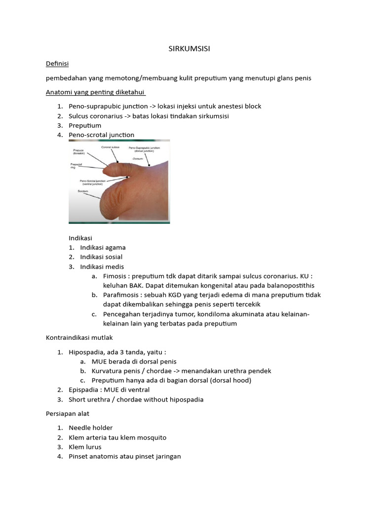 SIRKUMSISI Notulensi Video DR IJ | PDF | Sains & Matematika