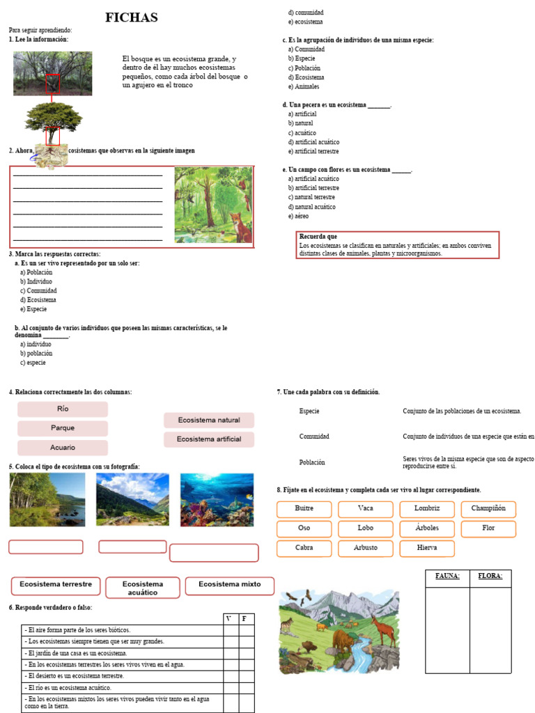 Fichas Ciencia Ecosistema | PDF | Ecosistema | Acuario