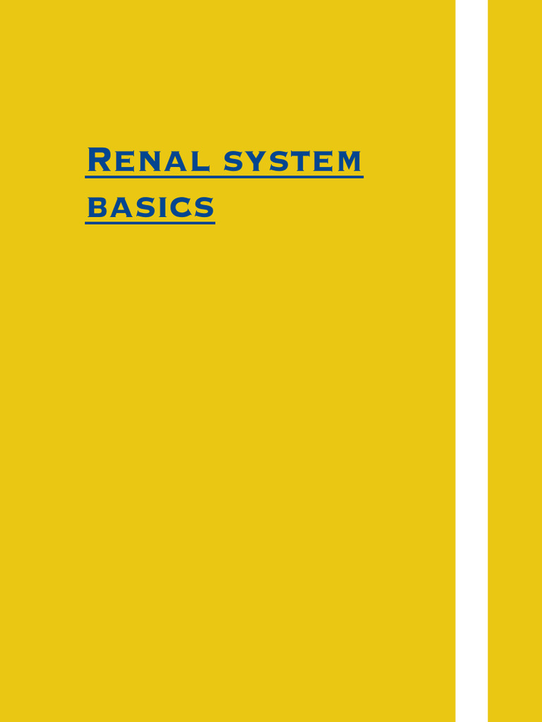 1) Renal Basics | PDF | Magnetic Resonance Imaging | Medical Imaging