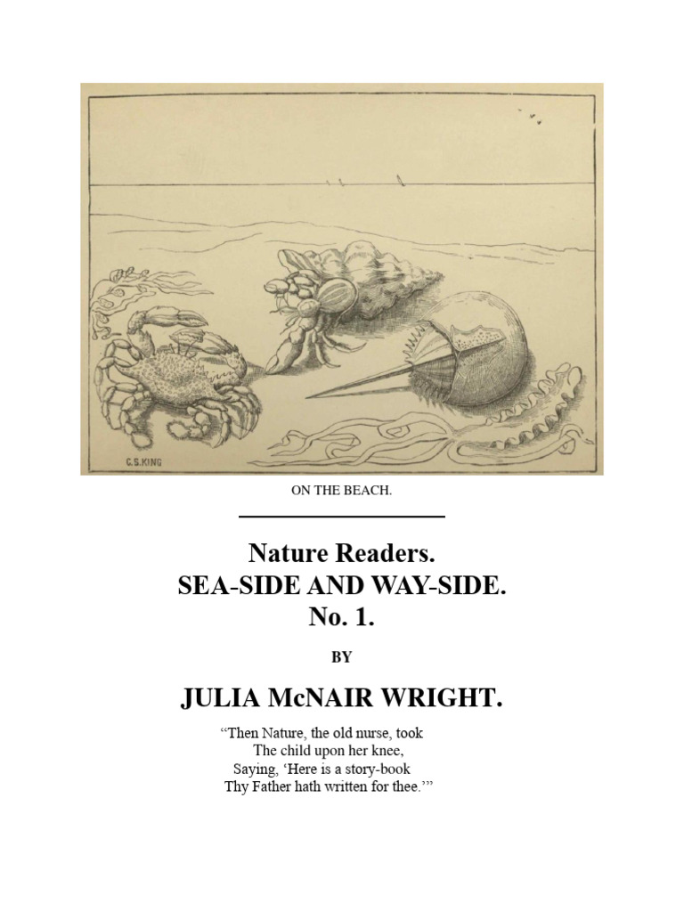 Nature Readers - Seaside and Wayside 1 | PDF | Bees | Beehive