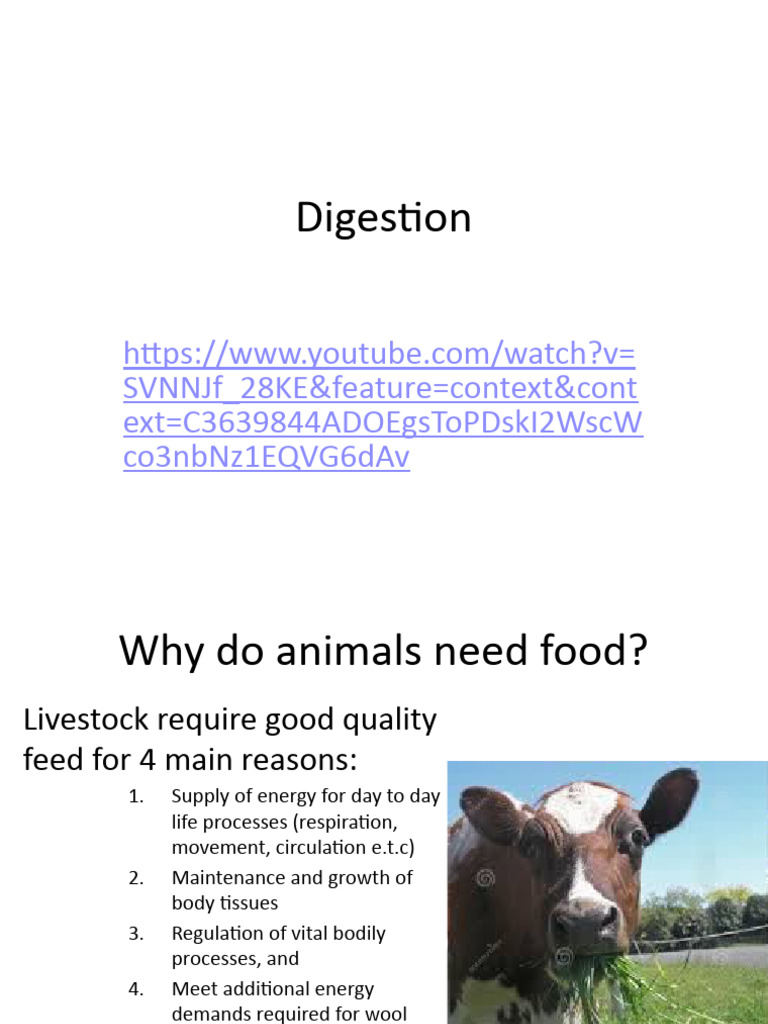 Carbohydrate and Protien Digestion | PDF | Digestion | Ruminant Carbohydrate and Protien Digestion | PDF | Digestion | Ruminant