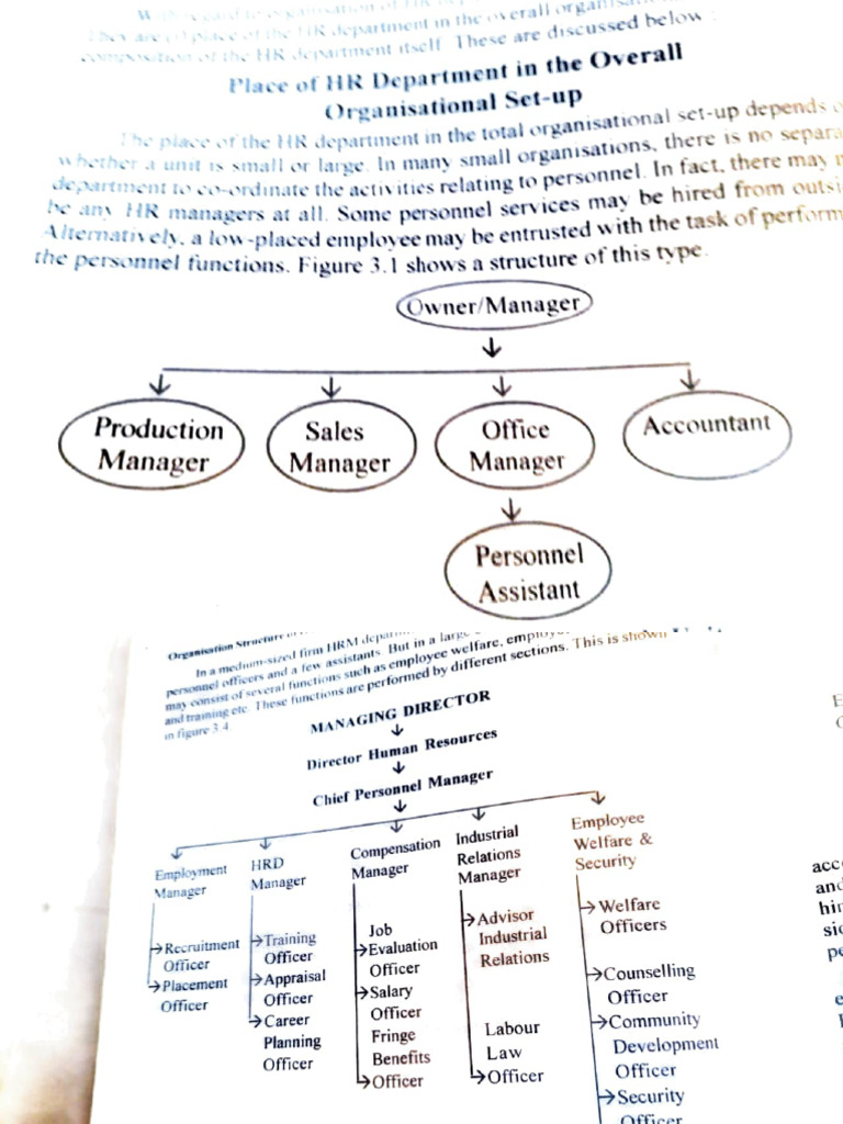 HRM Flow Charts and History | Download Free PDF | Human Resource ...