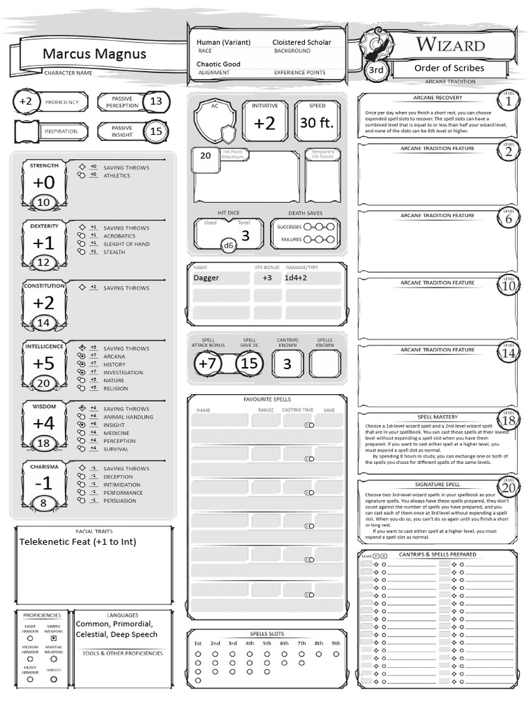 Class Character Sheet Wizard V1.2 Fillable | PDF