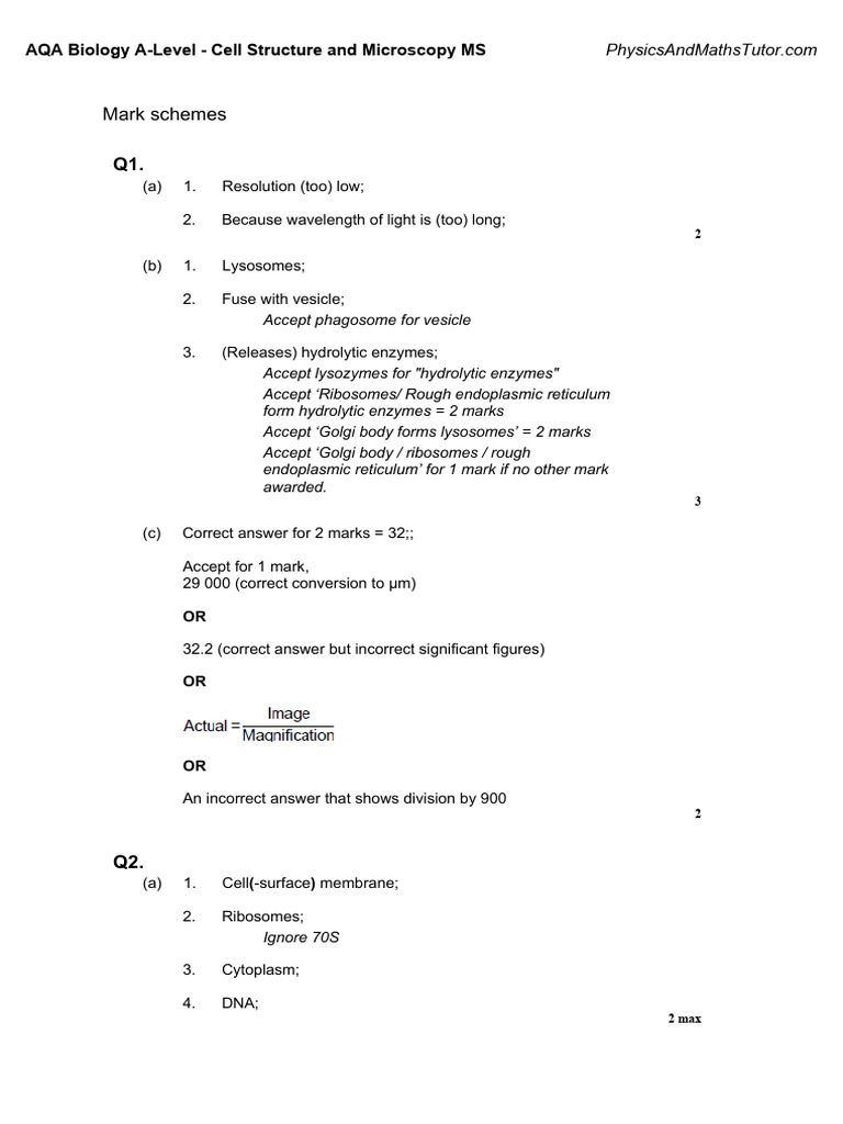 2.1 Cell Structure and Microscopy MS | PDF | Endoplasmic Reticulum ...