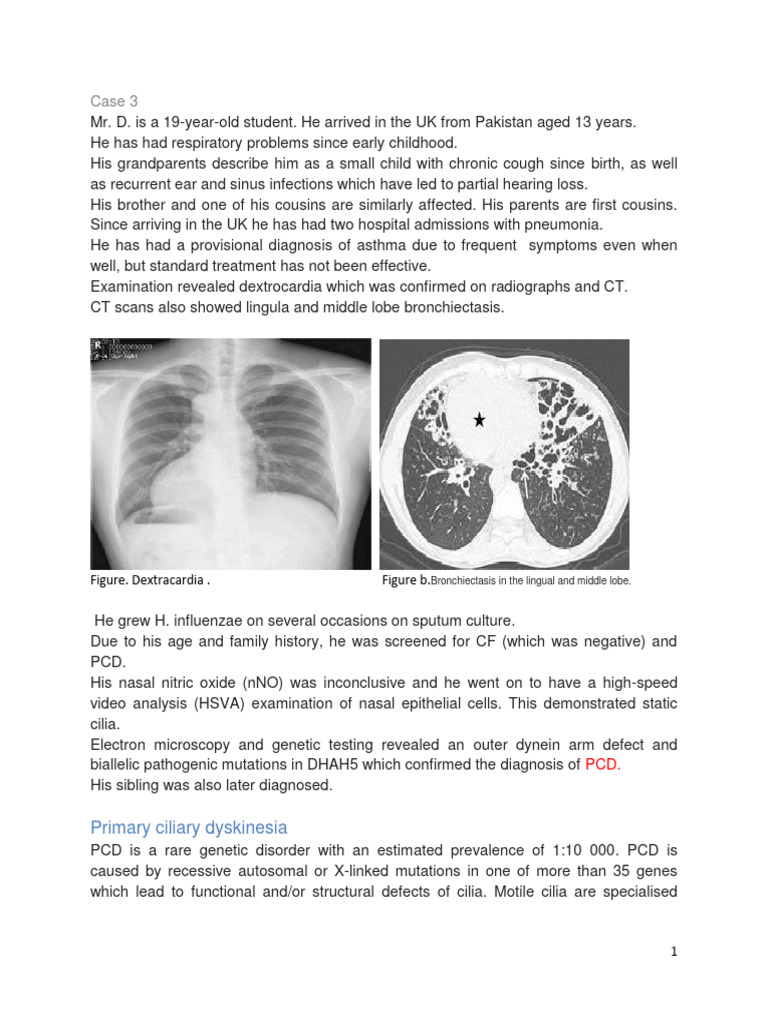 Case 3 | PDF | Medicine | Respiratory Diseases