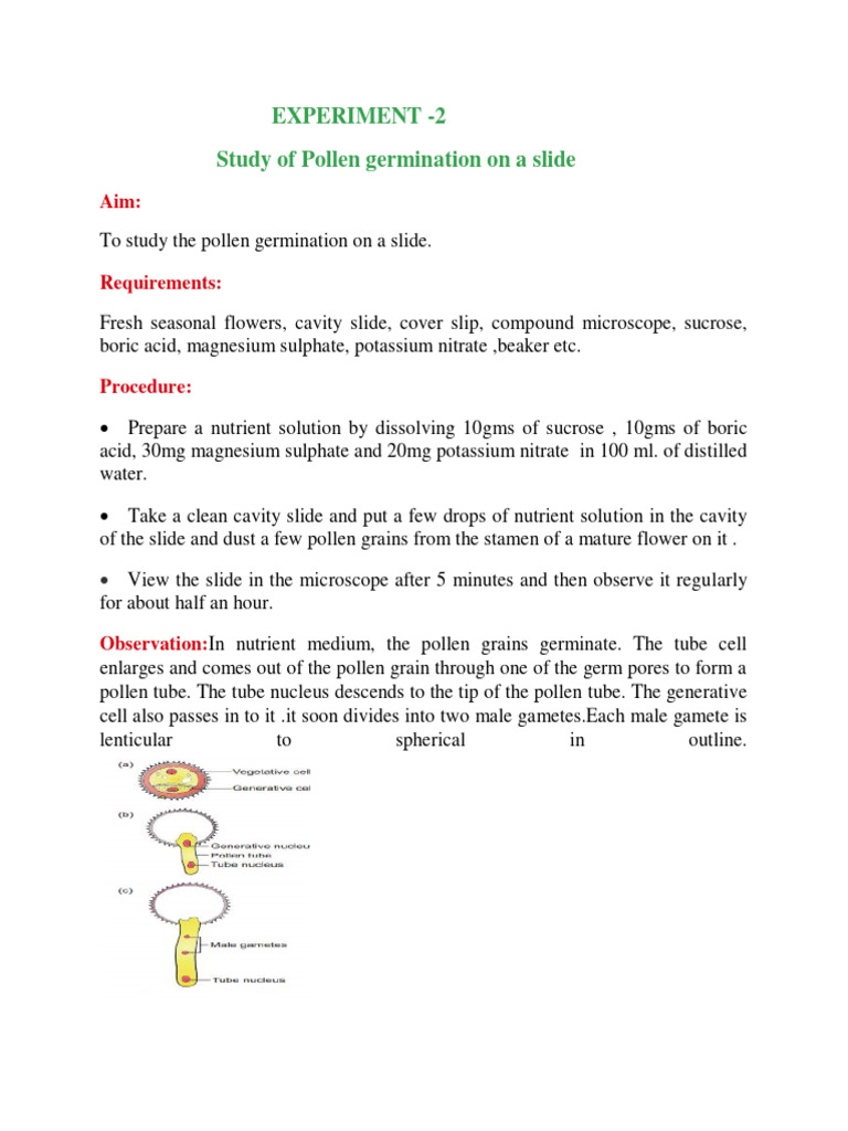 Experiment 2 | PDF | Home & Garden | Wellness