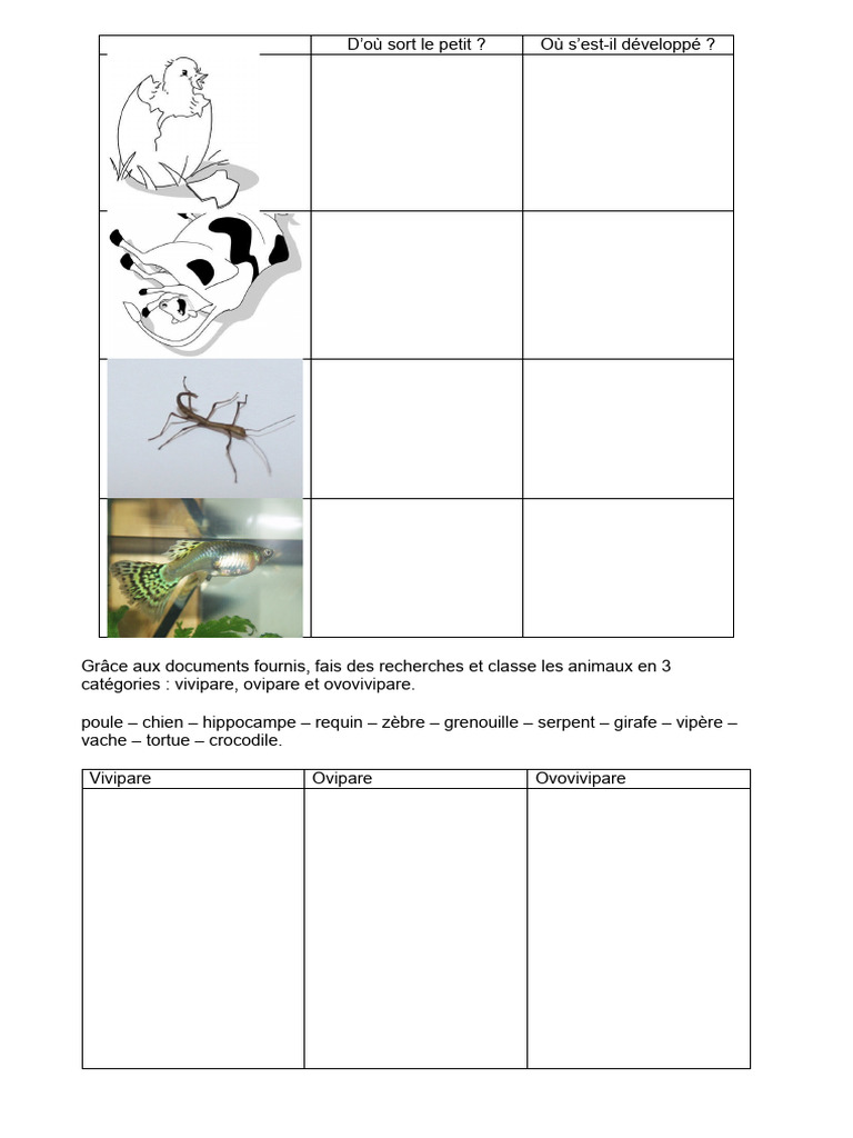 Exercice Ovipare Vivipare | PDF | Sciences et mathématiques