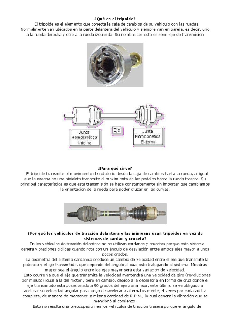 Flecha Homosinetica Pdf