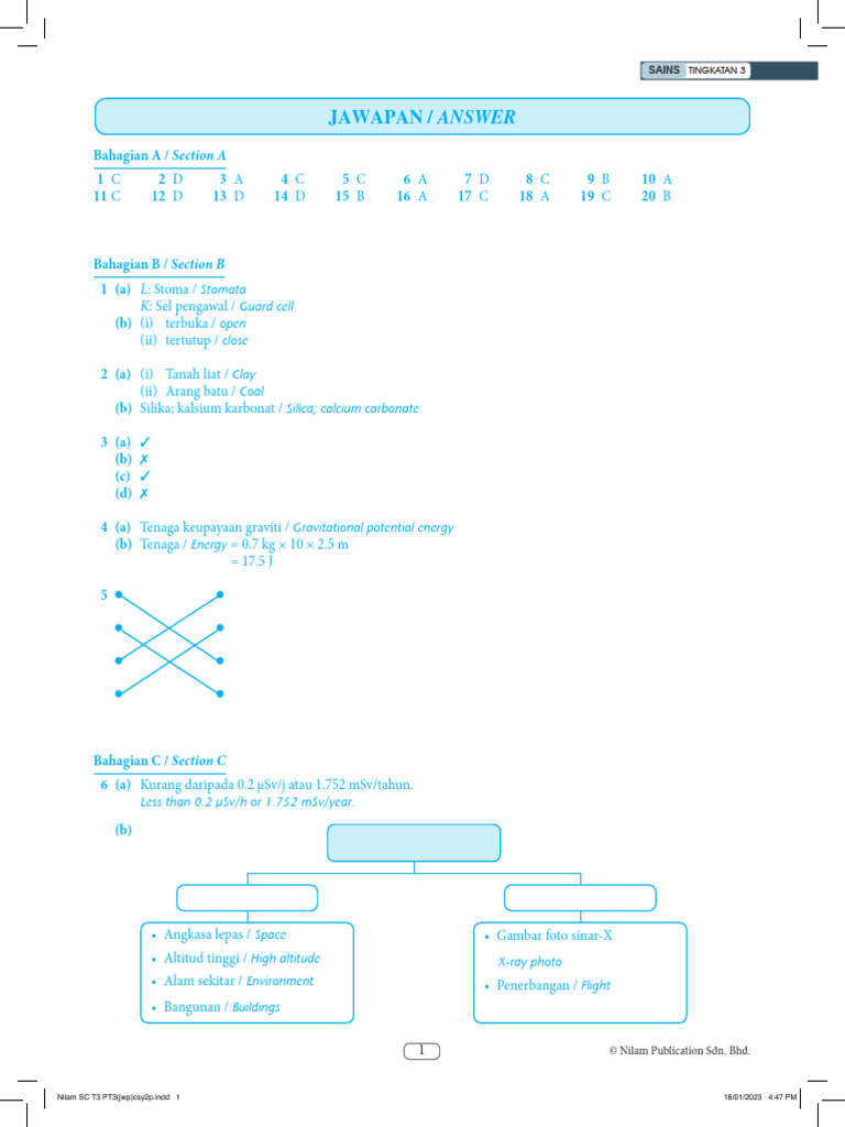 Nilam SC T3 PT3 (JWP) Csy2p 2 | PDF