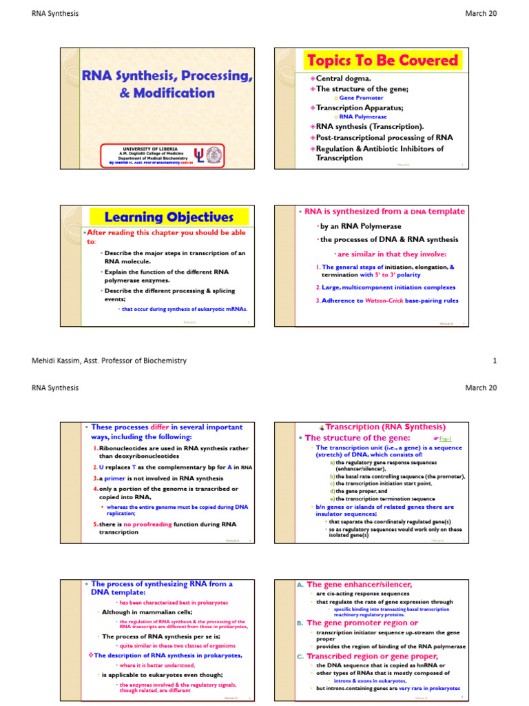 RNA Synthesis and Processing Overview | PDF | Rna | Gene