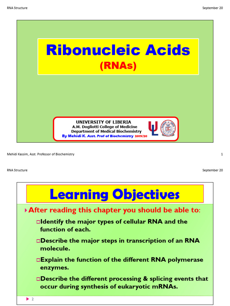 5-RNA Handout Sep 2020 | PDF | Ribosomal Rna | Rna 5-RNA Handout Sep 2020 | PDF | Ribosomal Rna | Rna