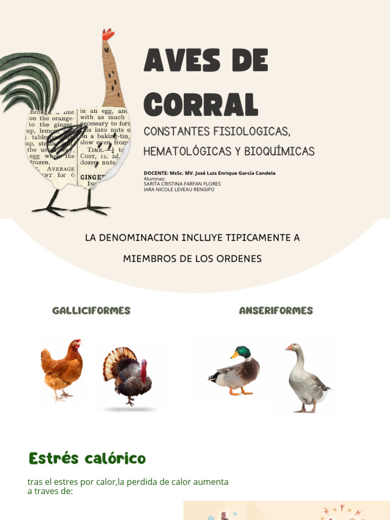 Constantes Fisiológicas en Aves de Corral | PDF