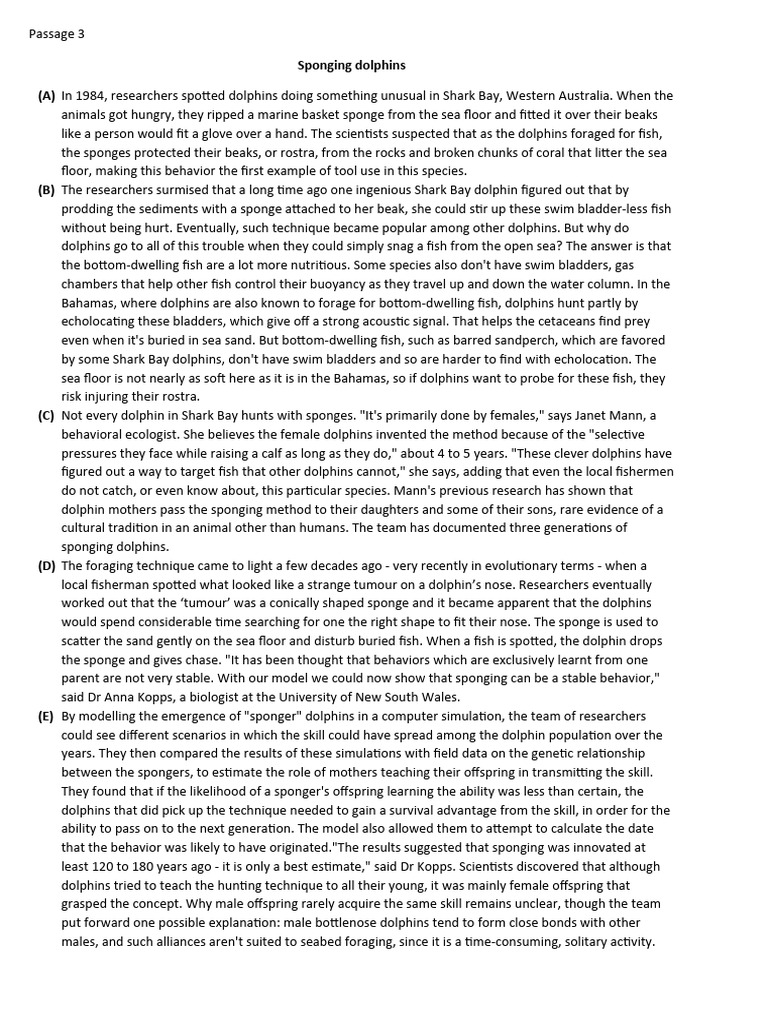 Passage 3 | PDF | Dolphin | Tools