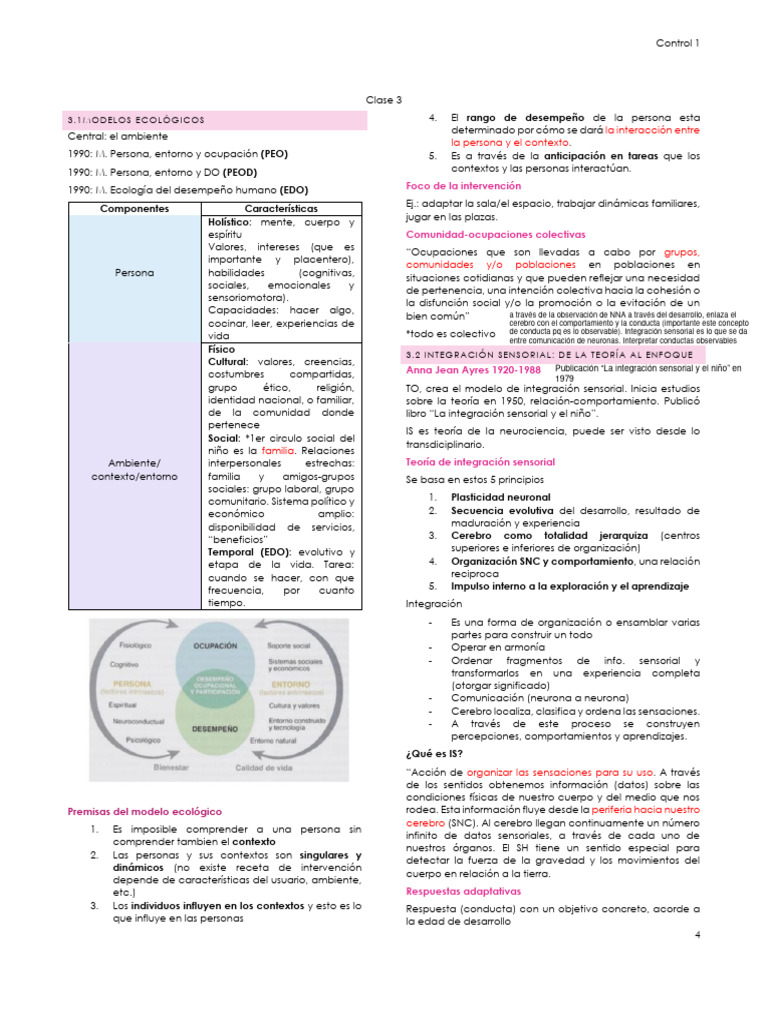 Control 2 TOEI V_ C3 y C4 | PDF | Aprendizaje | Cerebro