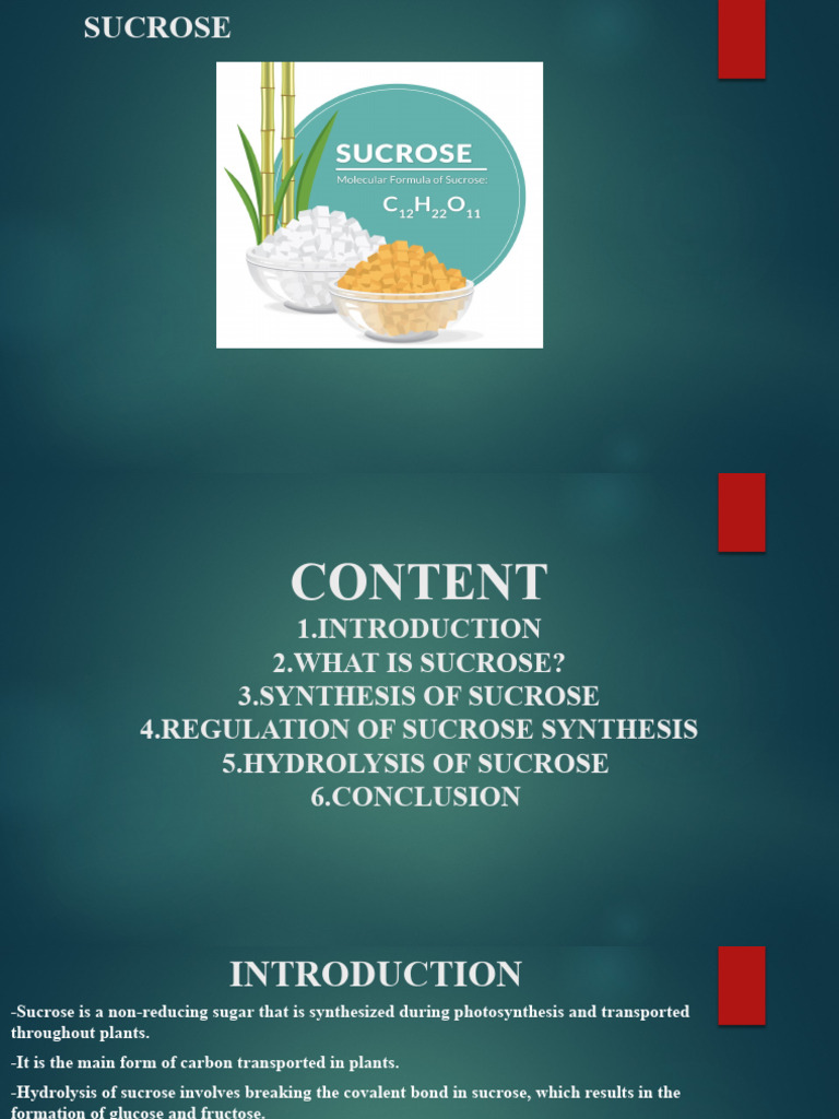 Sucrose Synthesis Pathway in Plants | PDF | Fructose | Sucrose