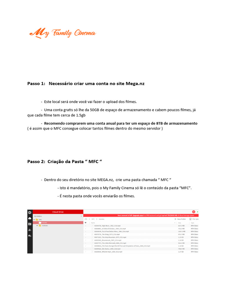 Tutorial Colocar Filmes No MFC | PDF