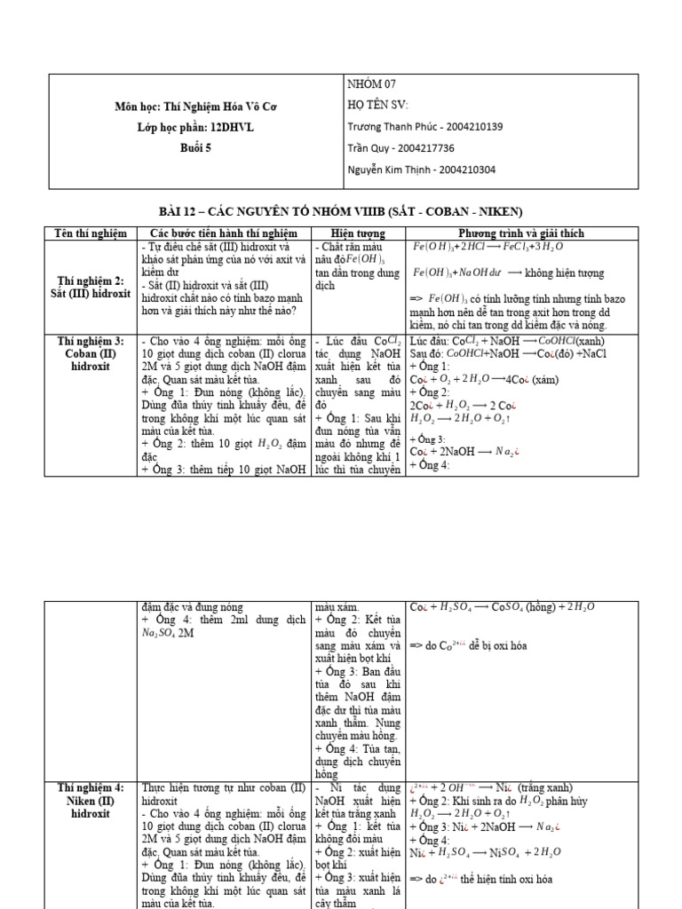 Nhóm 7 TN Hóa Vô Cơ Bu I 5 | PDF