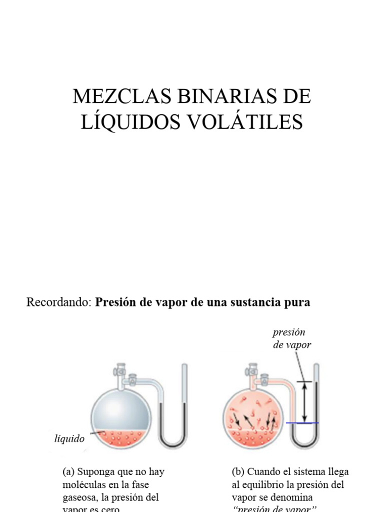 Equilibrio de fases en sistema de dos líquidos volátiles 2023-II | PDF ...