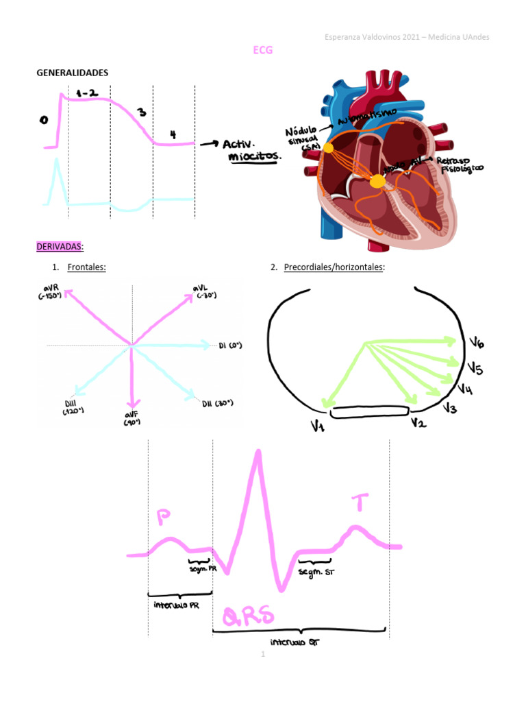 1 ECG | PDF | Electrocardiografia | Medicina Interna