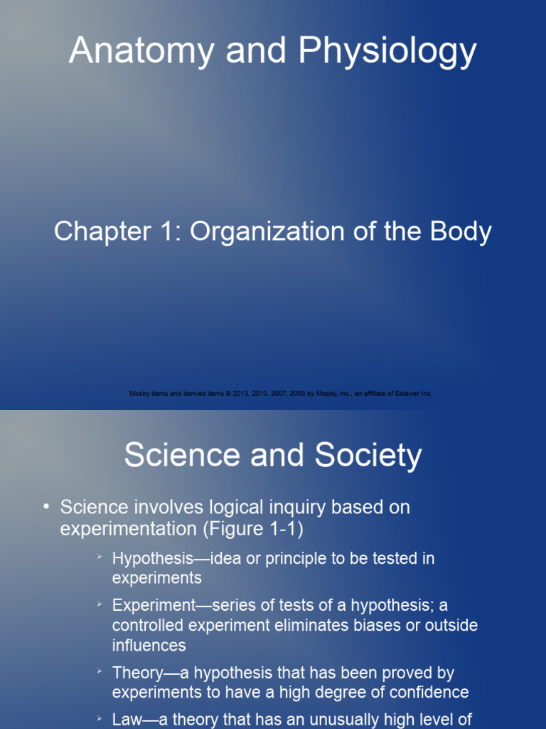 Chapter - 1 Org of Body | PDF | Homeostasis | Anatomical Terms Of Location