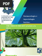 Bovitraz Ficha Tecnica Bayer | PDF | Agua | Naturaleza