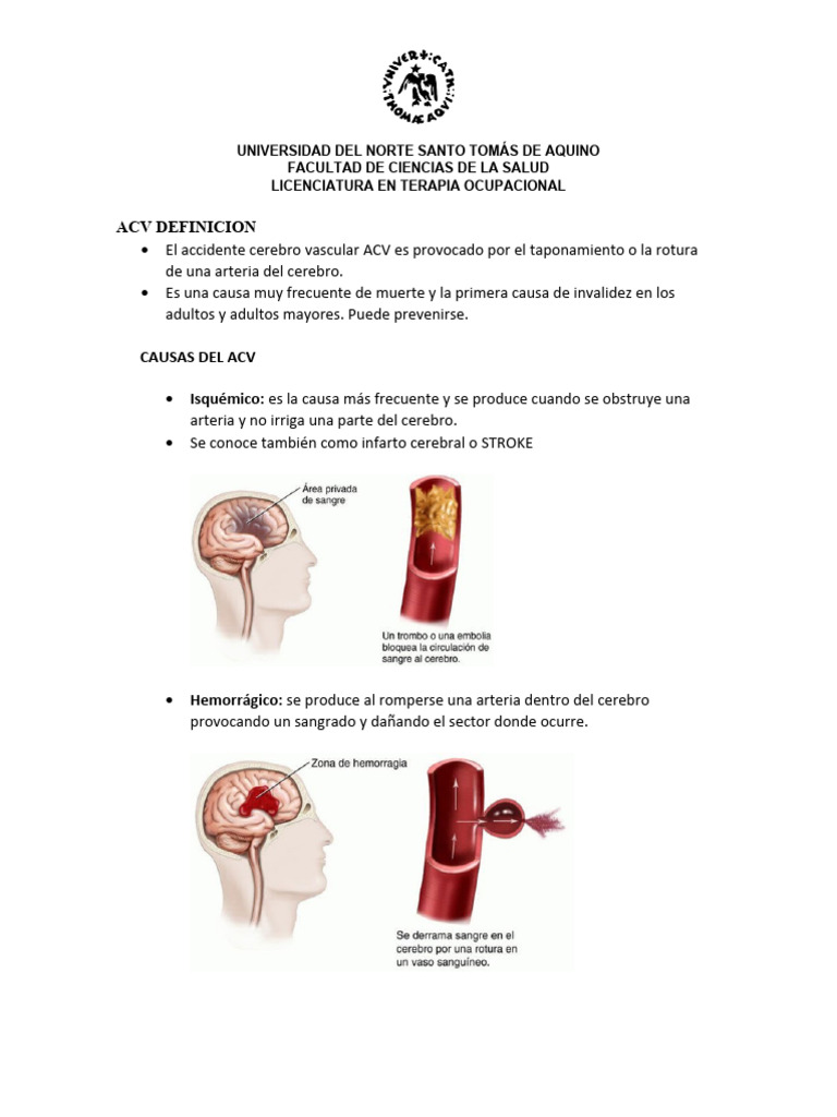 Resumen de ACV Desde Terapia Ocupacional | PDF | Carrera | Terapia ...