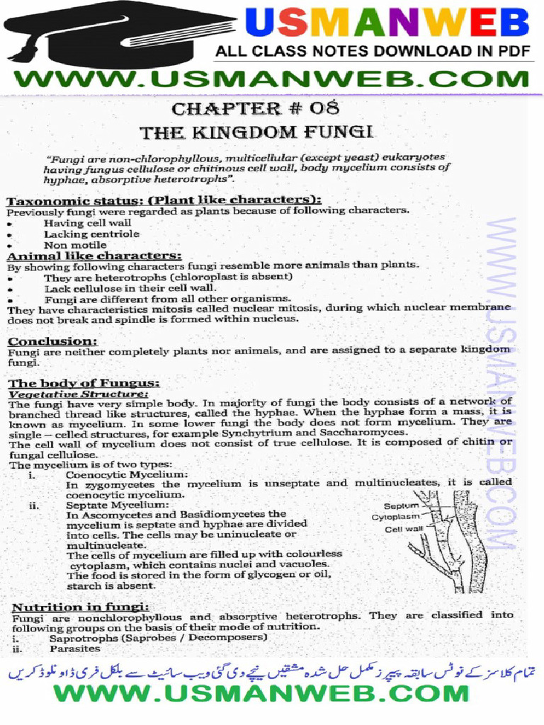 11th Biology Ch8 Sindh Board Notes | PDF
