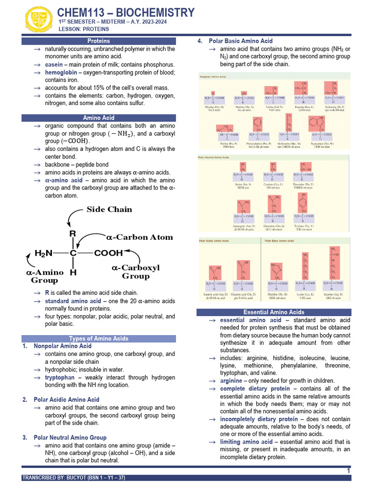 CHEM113 Lesson 2 Proteins | PDF | Amino Acid | Proteins