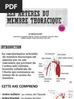 Angiologie Systeme Vasculaire Du Membre Superieur | PDF | Main ...