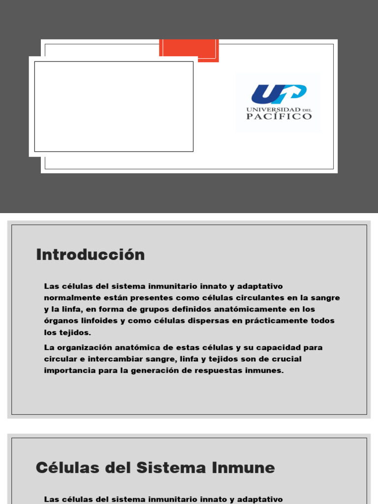 Aula 2 - Celulas y Tejidos Del Sistema Inmune | PDF | Linfocitos | Sistema linfático