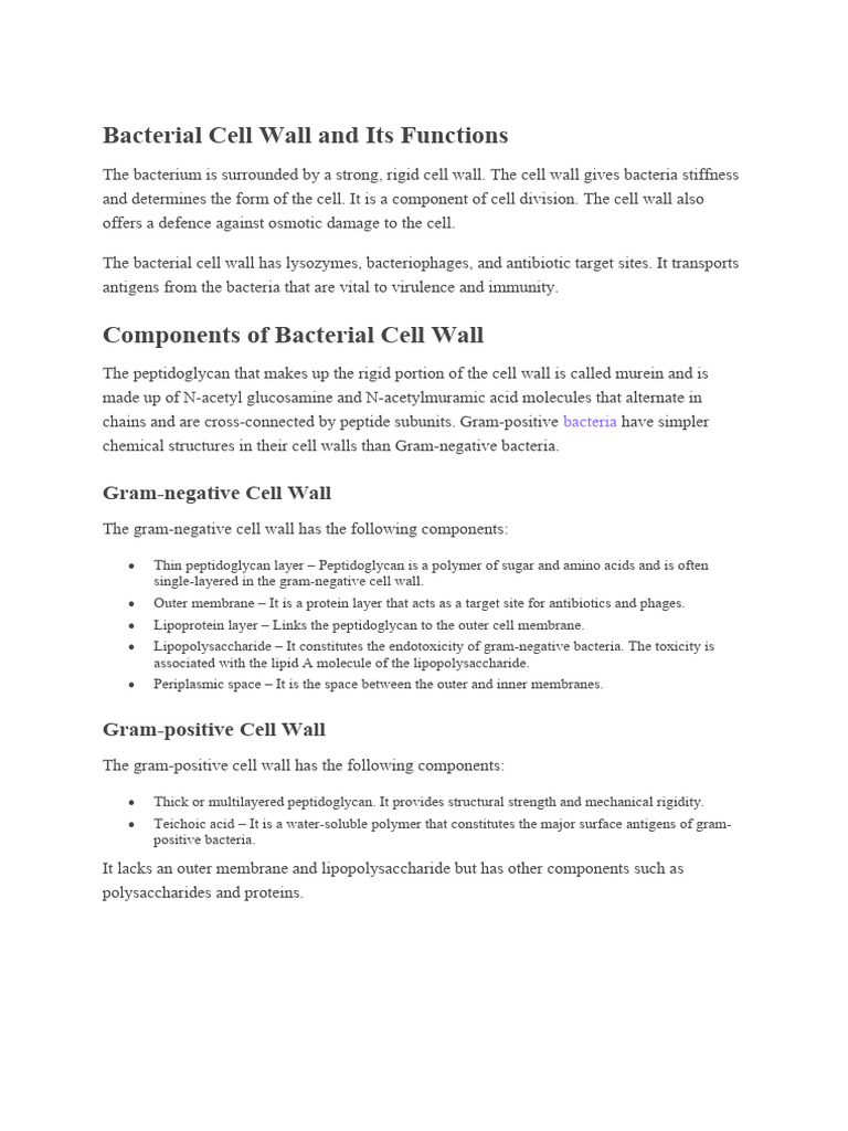 Bacterial Cell Wall and Its Functions | Download Free PDF | Cell Wall ...